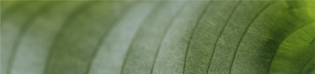 Margin and Collateral Intelligence for Derivatives